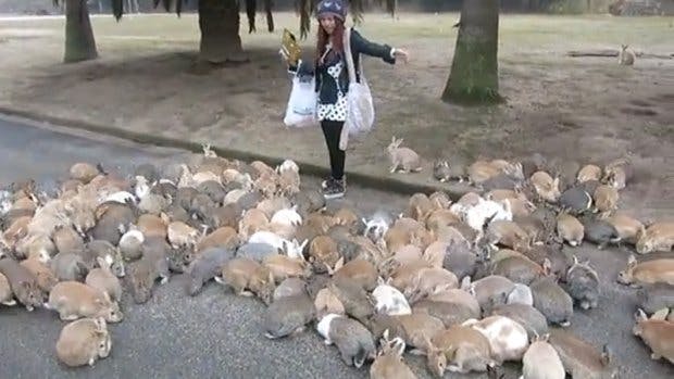 How Are We Only Now Hearing Of This Japanese Island Entirely Populated ...