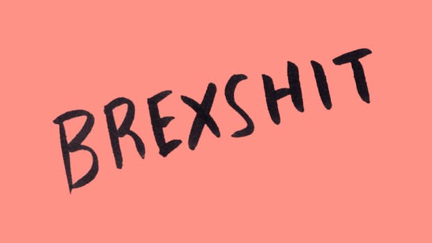 7 Of The Best #Brexshit Memes To Get You Through Today