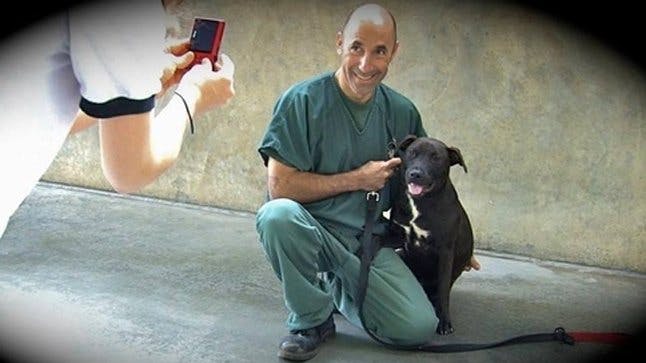 The scheme that uses prisoners to save dogs from death row | Closer