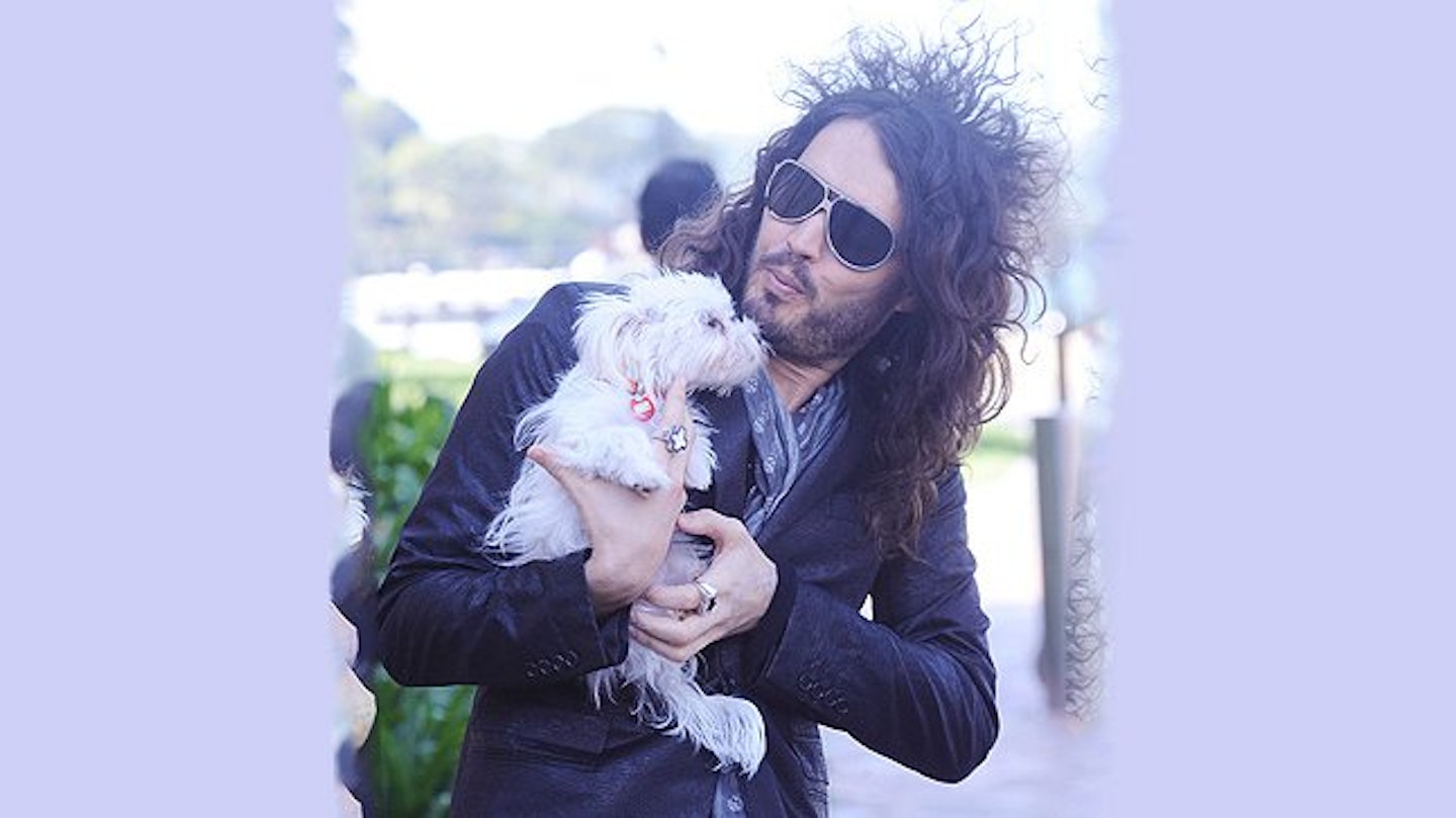 From Russell Brand to Katie Price: The celebrities who look like their ...
