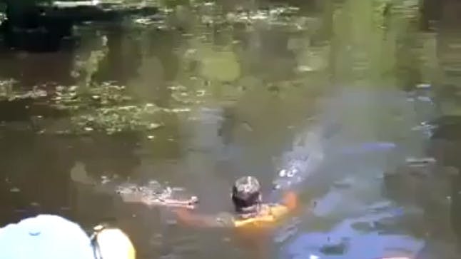 Watch what happens when this man gets into the water with two ...