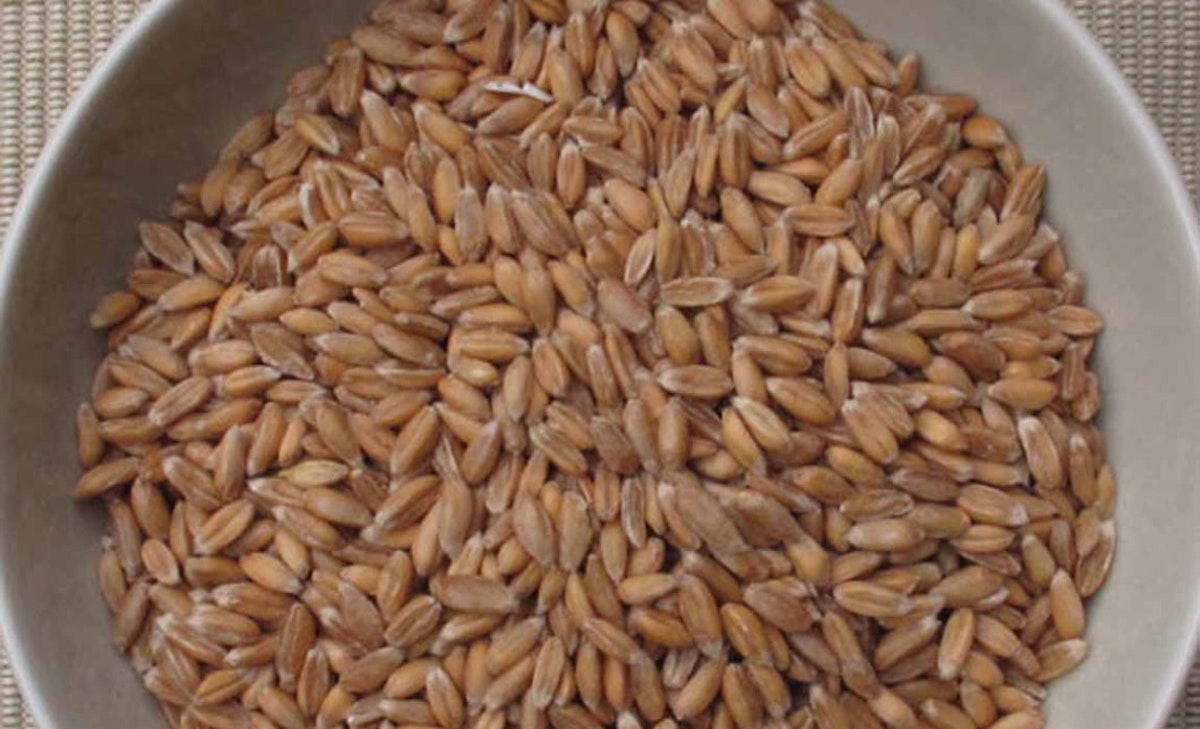 Know Your Grains: The 12 New Supergrains You Should Be Buying Now | Grazia