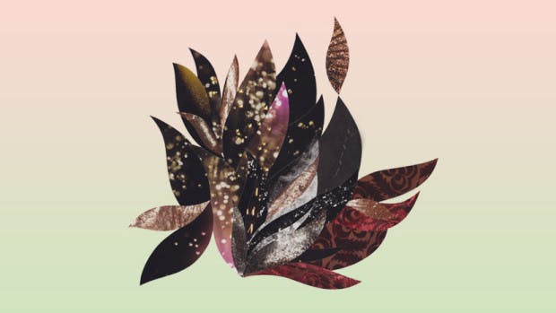 Is This The Return Of The Bush?