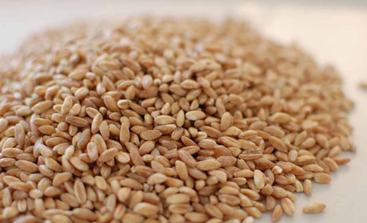 Know Your Grains: The 12 New Supergrains You Should Be Buying Now | Grazia