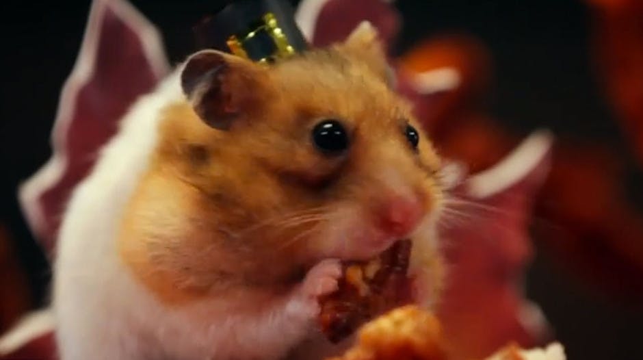 Tiny hamsters enjoy tiny Thanksgiving dinner with their tiny bunny ...