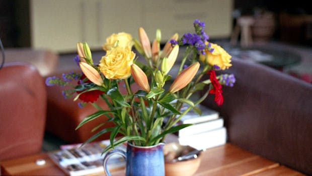 How To Make Your Flat Work When You Don’t Have A Living Room | Grazia