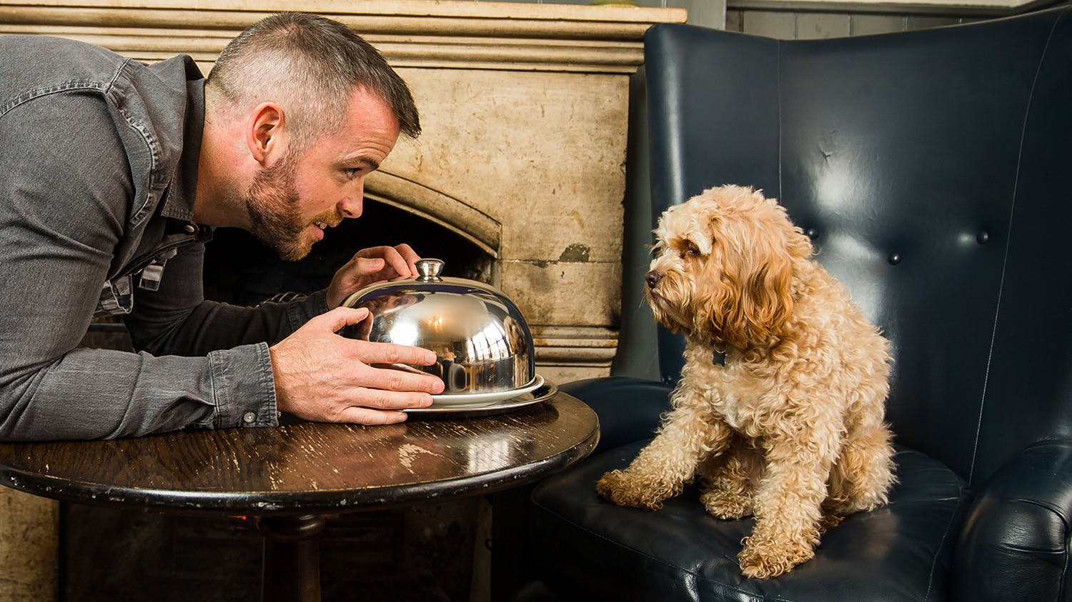 Gourmet food business for dogs have created the ultimate doggy dish