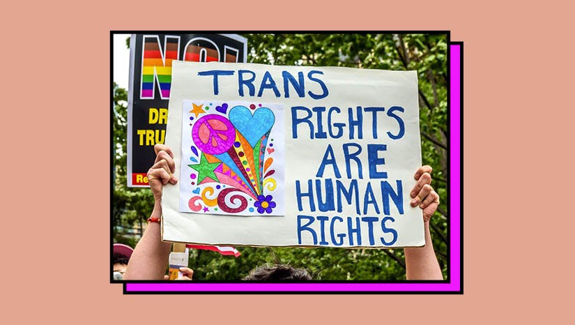 £11,000 Has Been Raised To Keep Trans Women Off All-Women Shortlists ...