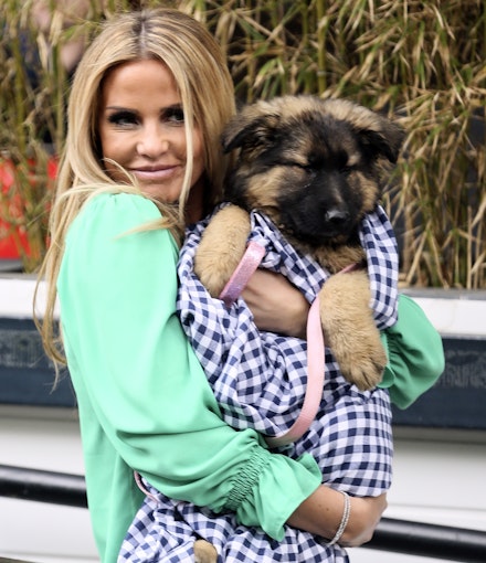 Katie Price left DEVASTATED after her dog was killed in a hit and run ...