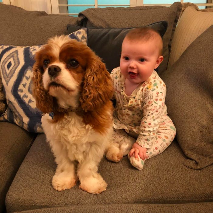 Binky Felstead shares adorable family snap but fans have questions ...
