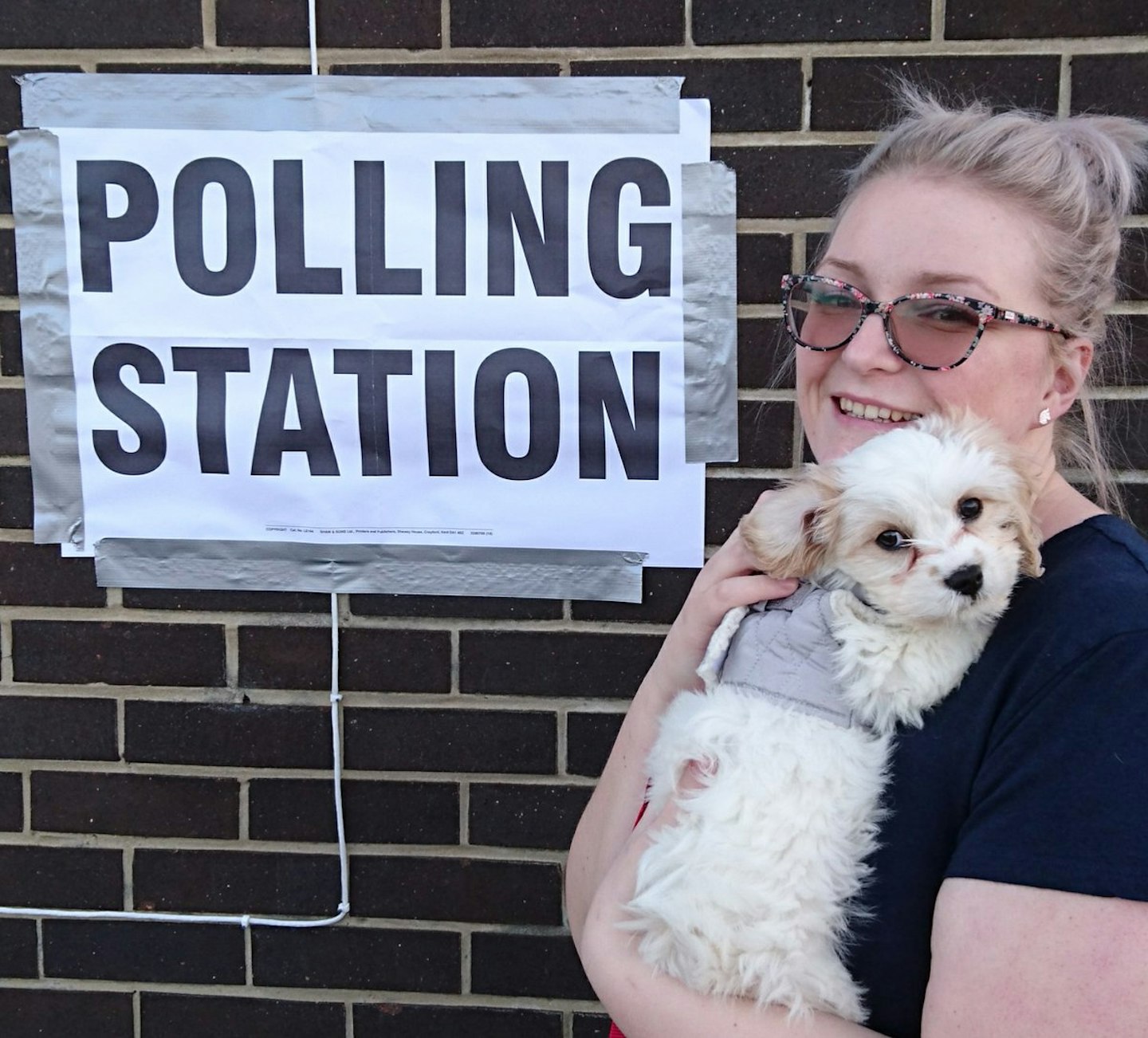 Dogs at polling stations will bring a smile to your face this Thursday
