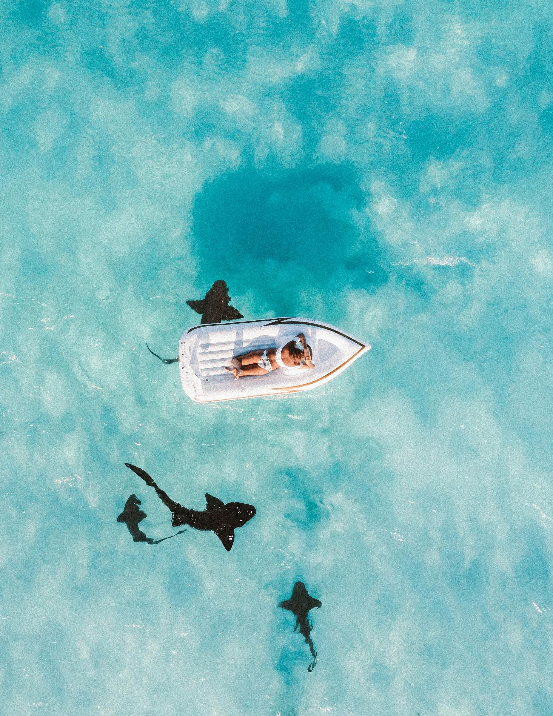 Influencer Bitten By Shark In The Name Of Instagram Content | Grazia
