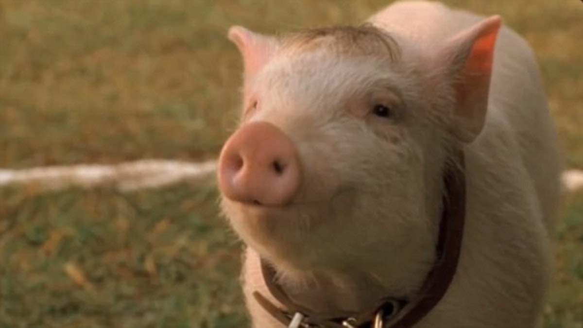 33 funny 'Would You Rather' questions for entertaining kids