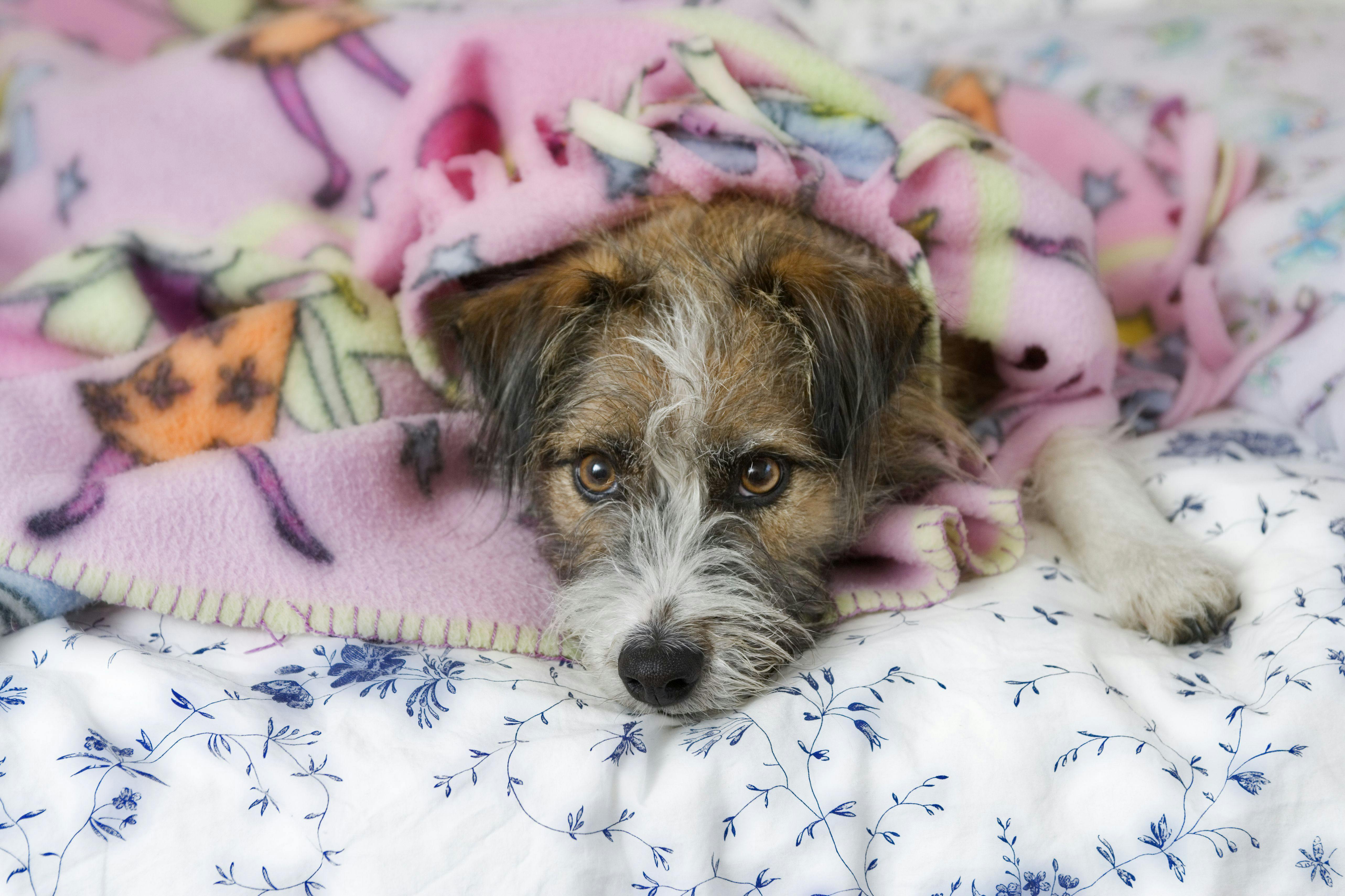 Fiona Day | Author | Closer