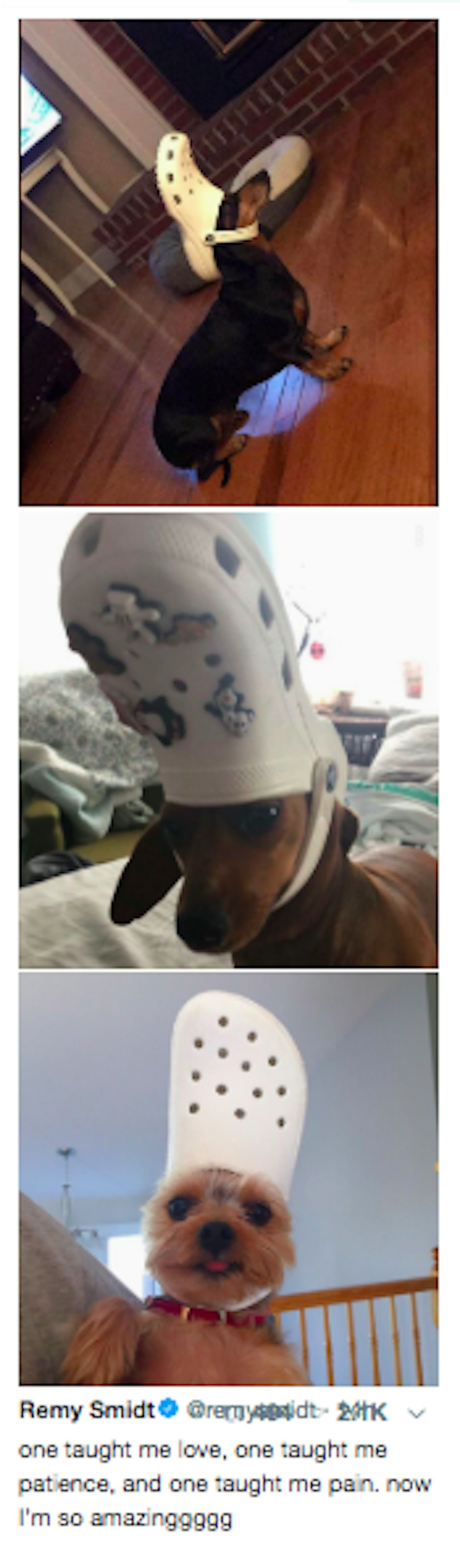 Ariana Grande's 'Thank U, Next' Has Inspired So Many Hilarious Memes ...