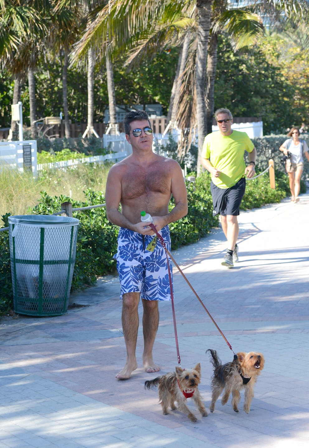 Simon Cowell shares adorable photo of new rescue dog Daisy