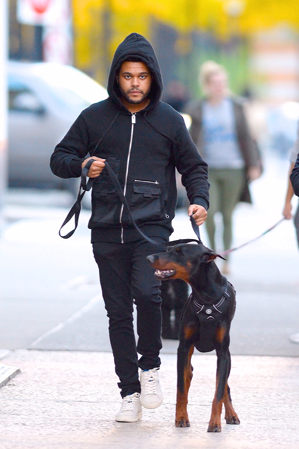 Simon Cowell shares adorable photo of new rescue dog Daisy