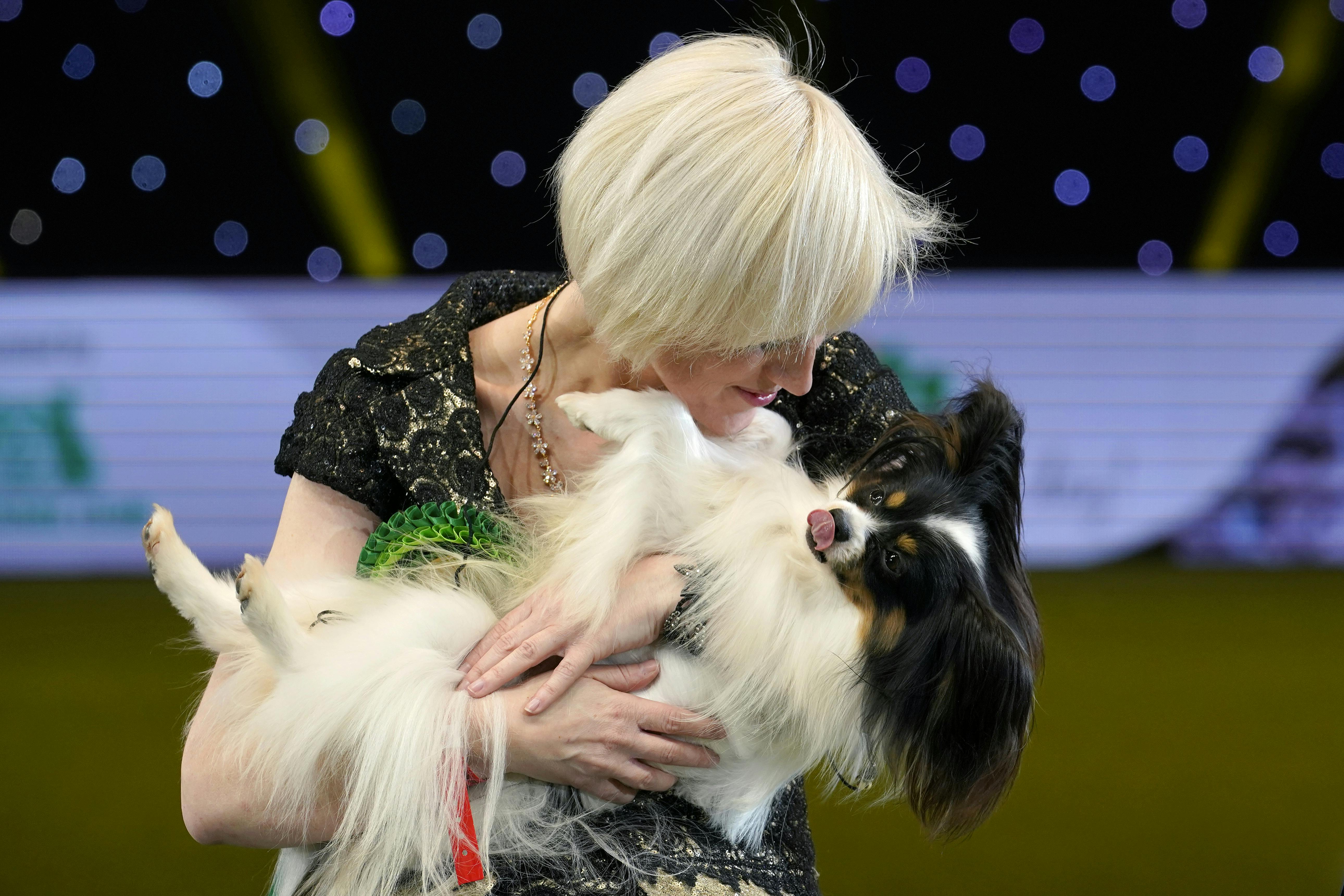 Are We Allowed To Enjoy Crufts? | Grazia
