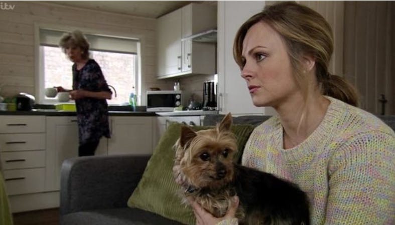Corrie fans spot major blunder with David the Dog
