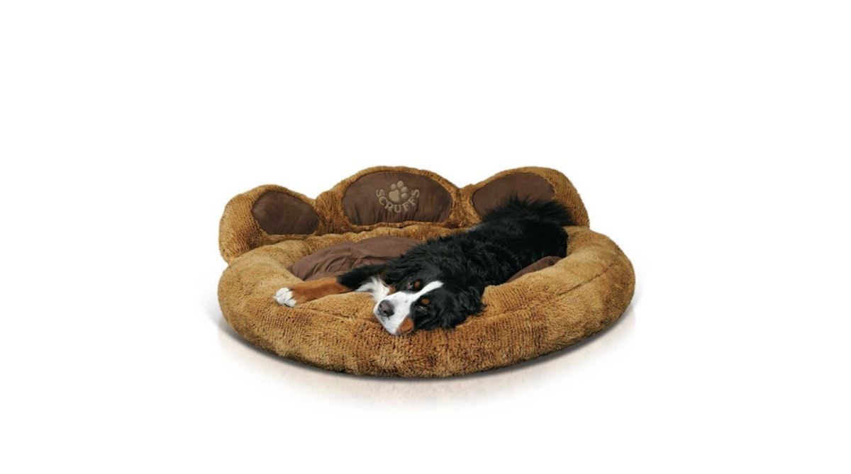 The Best Luxury Dog Beds