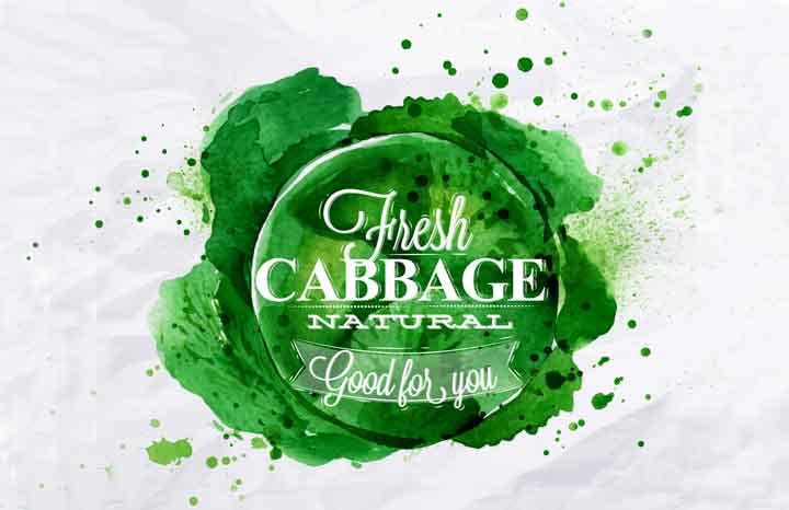 9 surprising health benefits of cabbage | Wellbeing | Yours