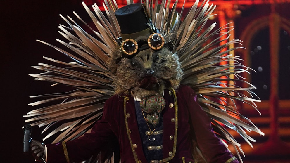 Girls Aloud star reveals she turned down The Masked Singer ...