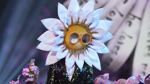 The Masked Singer: Who is behind the mask? All the clues so far ...