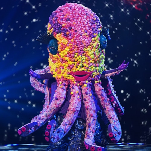 The Masked Singer: Who is behind the mask? All the clues so far ...