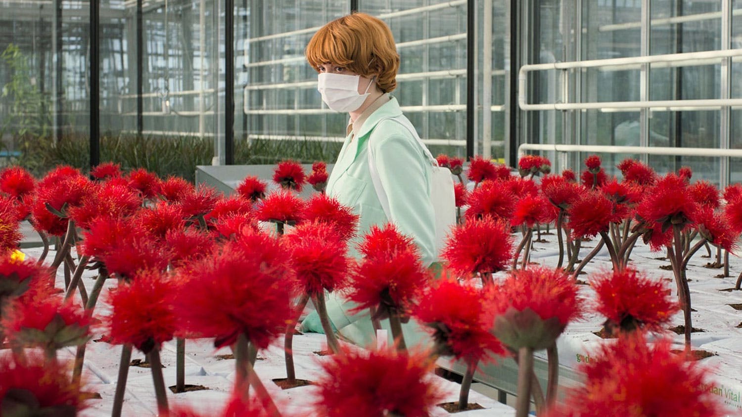 Little Joe Review | Movie - Empire