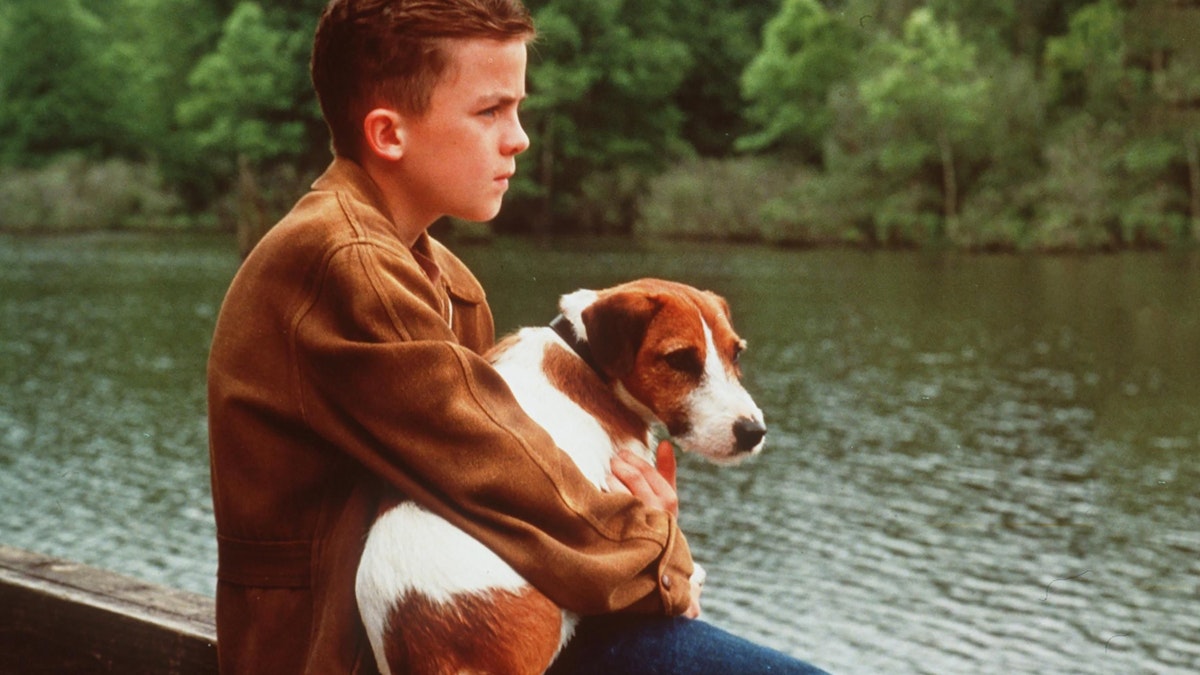 The 23 Greatest Movie Dogs | Movies | %%channel_name%%