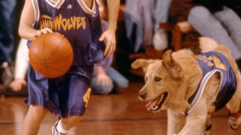The 23 Greatest Movie Dogs | Movies | Empire
