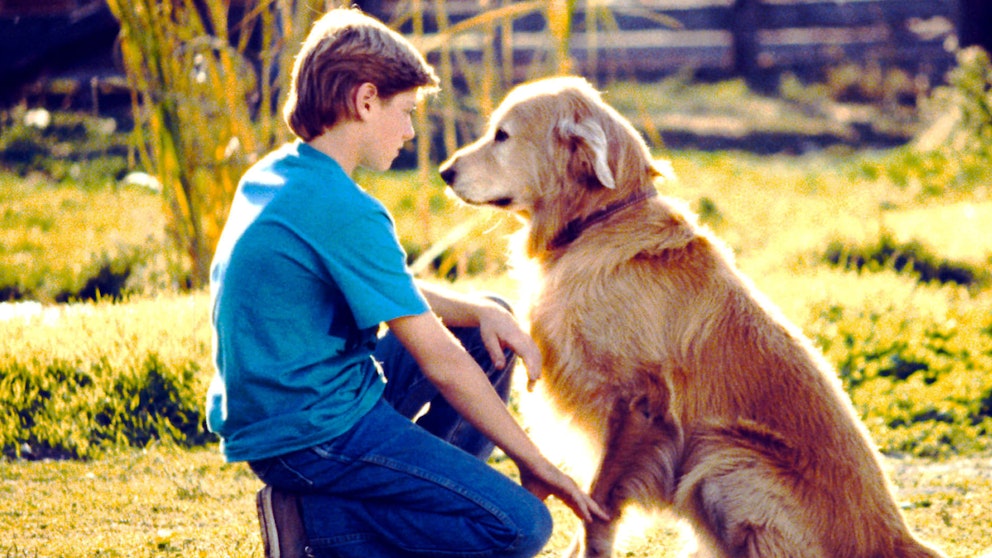 The 23 Greatest Movie Dogs | Movies | Empire