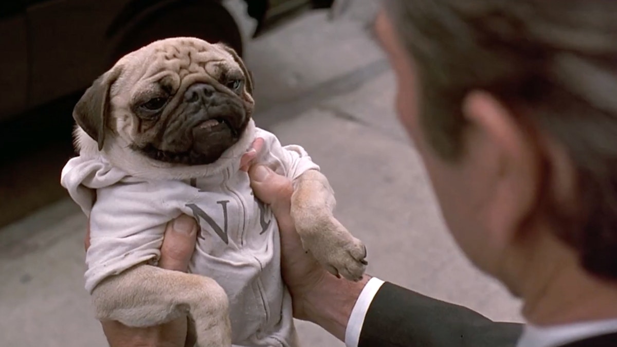 The 23 Greatest Movie Dogs | Movies | Empire