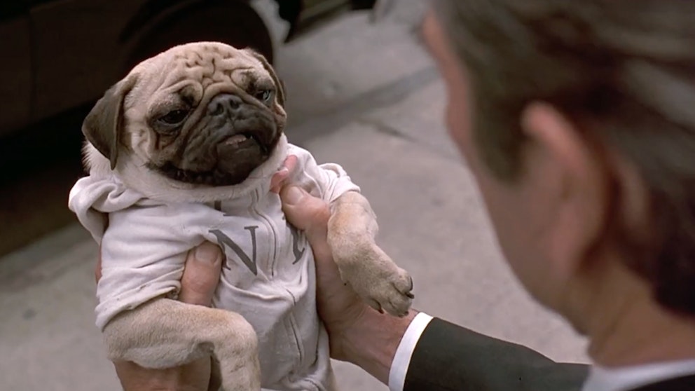 The 23 Greatest Movie Dogs | Movies | Empire