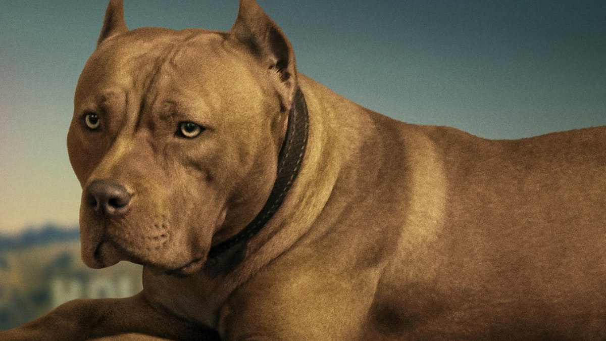 The 23 Greatest Movie Dogs | Movies | %%channel_name%%