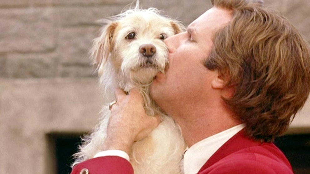 The 23 Greatest Movie Dogs | Movies | Empire