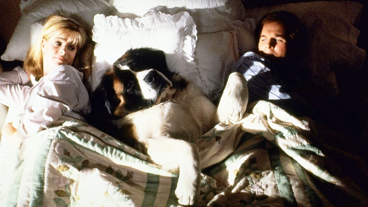 The 23 Greatest Movie Dogs | Movies | %%channel_name%%