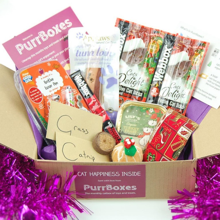 The Best Cat Subscription Boxes UK