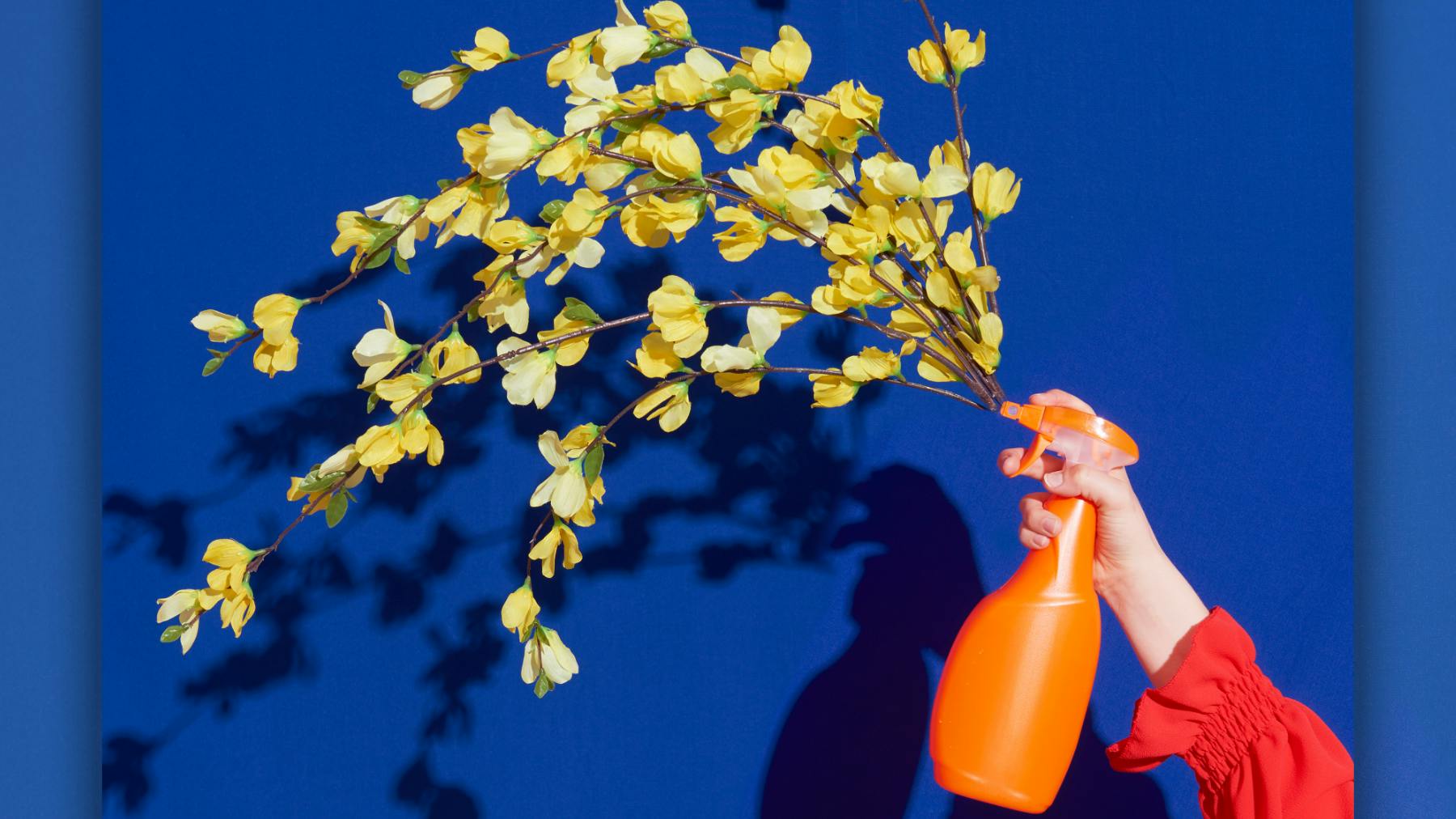 11 Easy Swap Eco-Cleaning Products