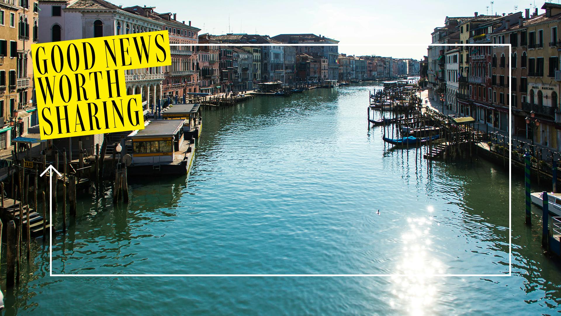 Venice Canal Has Turned Blue Again And Air Pollution Is Falling