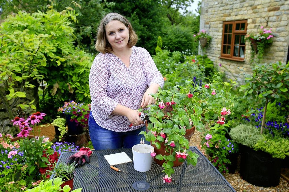 Take Fuchsia Cuttings | %%channel_name%%