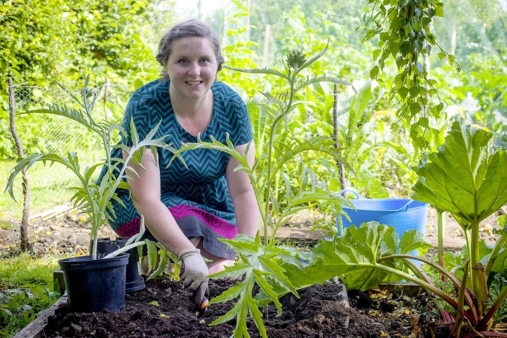 Plan a Perennial Patch Plant Once and Eat Forever! | %%channel_name%%
