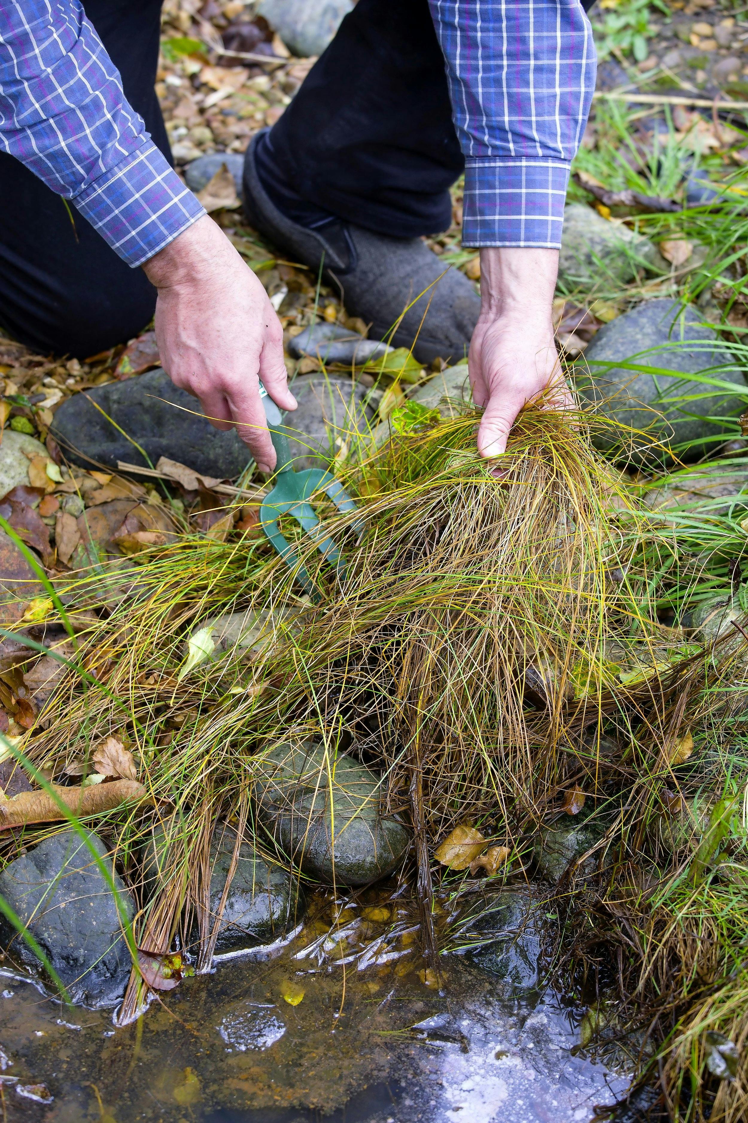 Keep Your Garden Clean | %%channel_name%%