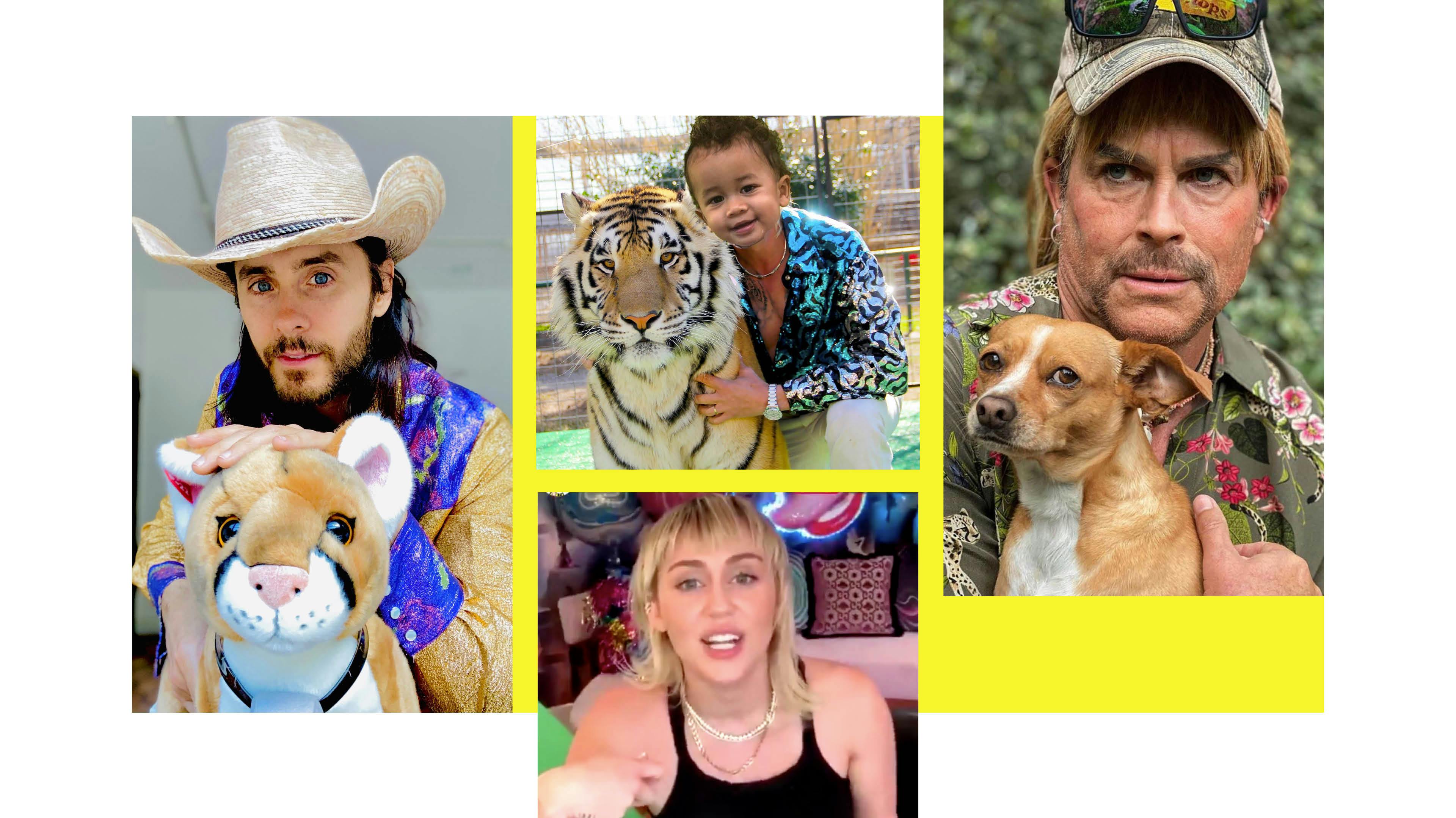 The Best Celebrity Reactions To Tiger King