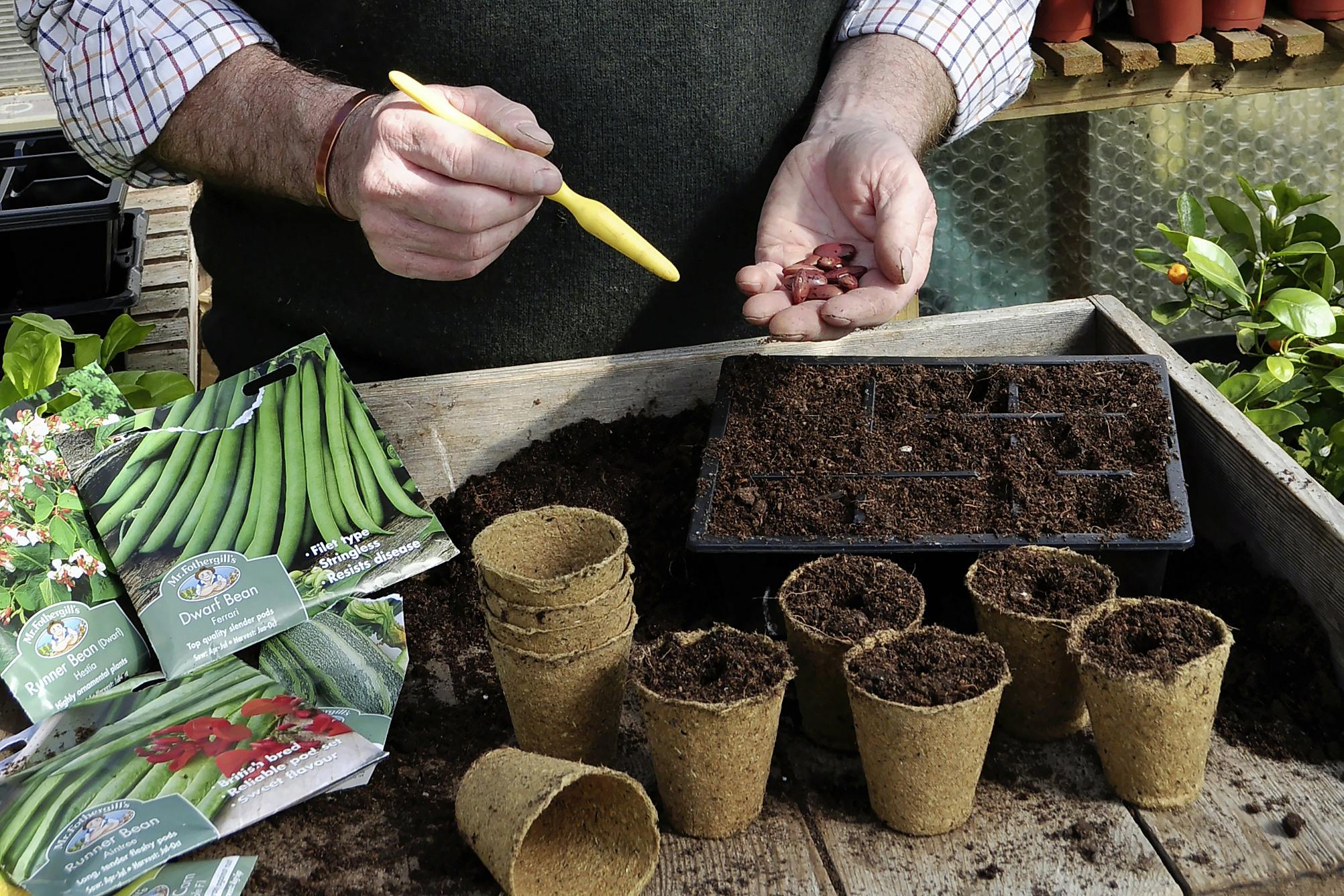 How To…Sow Tender Vegetables | Garden News
