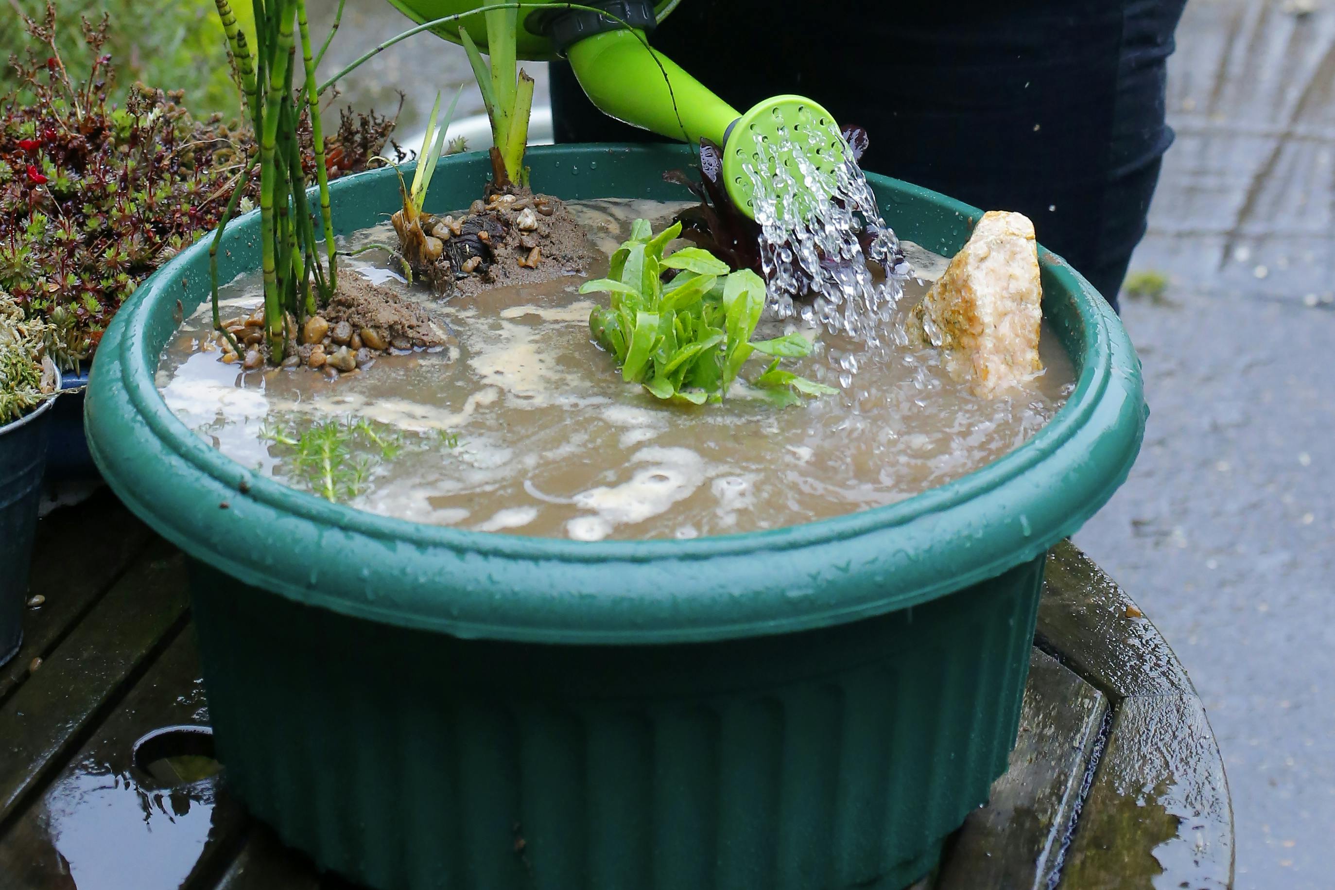 How To…Create A Container Pond | %%channel_name%%