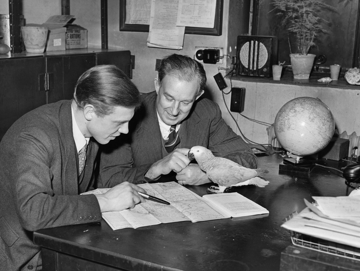 Sir David Attenborough: everything you need to know