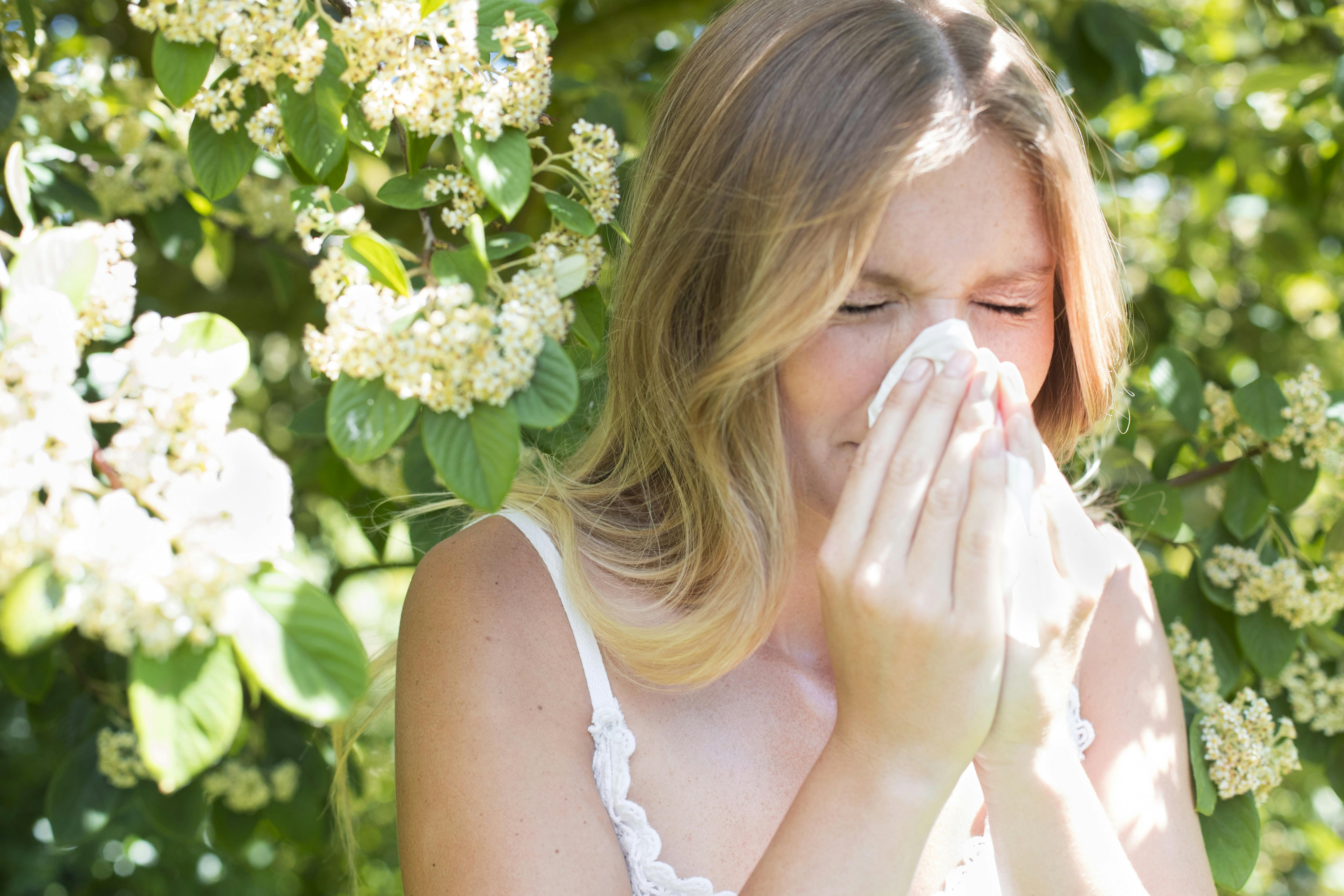 Everything you need to know about Hayfever: the facts, the remedies