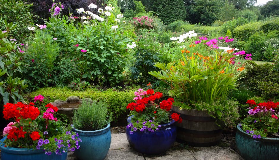 Everything you need to know about container gardening