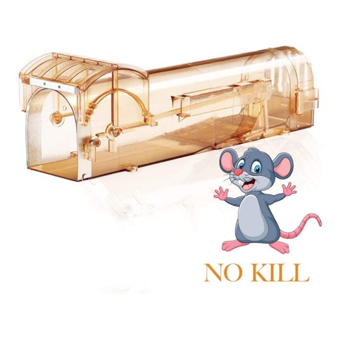 The best mouse traps that actually work (and are humane)